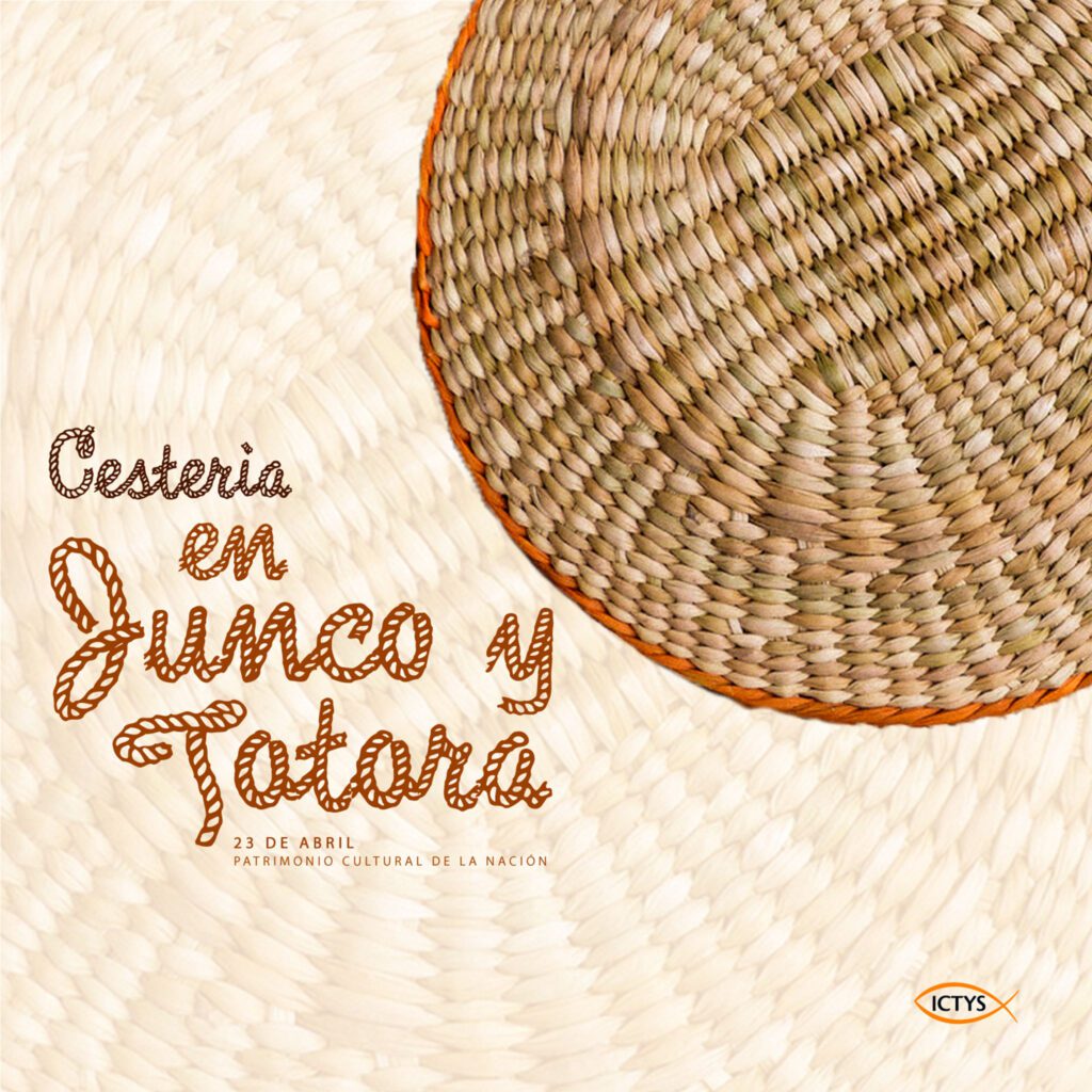 Cestería en junco y totora – ICTYS